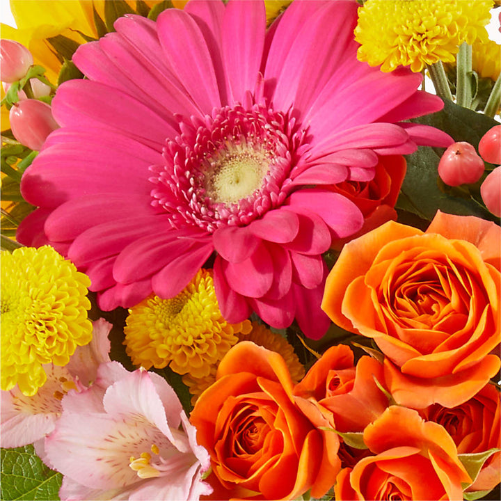 Taunton Florist with Same-Day Delivery | Robin's Corner Flower Shop ...